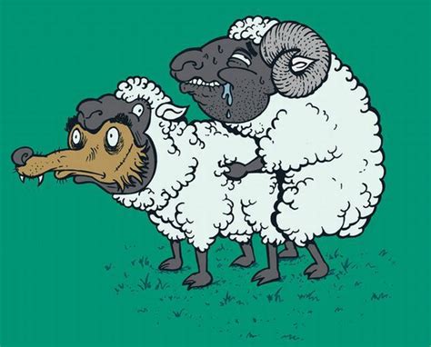 Shagging Sheep Cartoon
