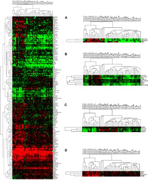 Clustering Results Using Fda Genes Separating 2 Classes Cns Versus