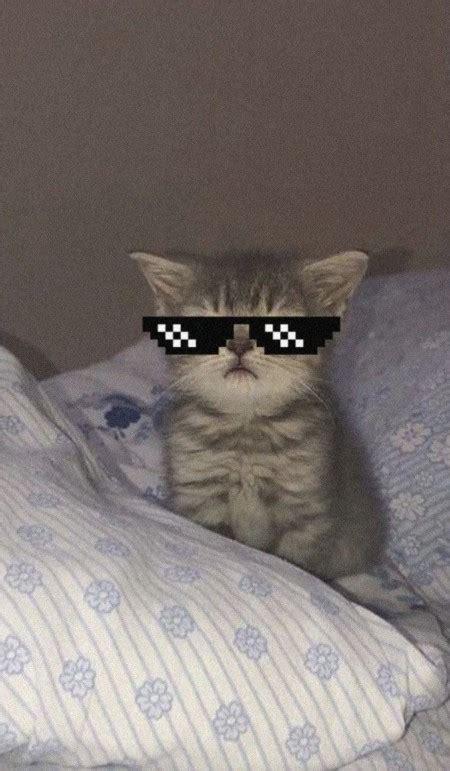 عکس های پس زمینه گنگ بهترین تصاویر گنگ پیشنهادی تاوعکس