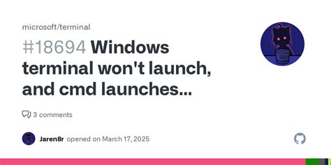 Windows Terminal Wont Launch And Cmd Launches Extremely Late Without