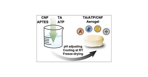 Ultralight Hydrophobic Fire Resistant And Highly Thermally Insulating Aerogel By Cross