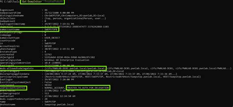 Constrained Delegation To Shell Swepstopia