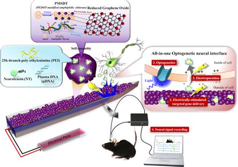 Neurochip NTKLab
