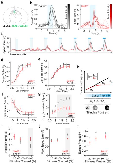 Optogenetic Activation Of Deep Sc Neurons Recapitulates Lar Download Scientific Diagram