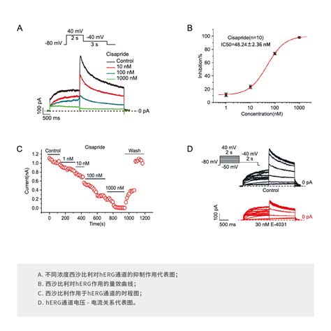 斯高电生理研究院 心肌细胞检测 斯高电生理研究院 心肌细胞检测