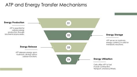 adenosine triphosphate ppt structure acp ppt presentation