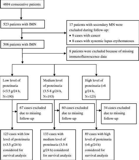 Baseline Proteinuria Level Is Associated With Prognosis In Idiopathic Membranous Nephropathy Pmc