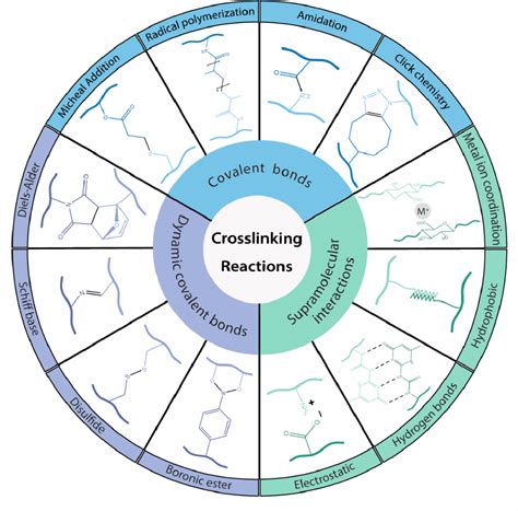 Stimuli Responsive Hydrogels The Dynamic Smart Biomaterials Of Tomorrow Macromolecules