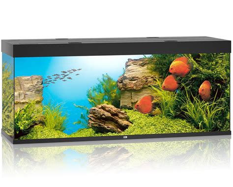 Juwel - Rio 450 LED - Komplett-Aquarium ohne Unterschrank | Aquarium ...