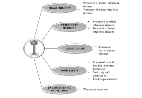 Current Applications Of Phages And Phage Derived Lytic Proteins Download Scientific Diagram