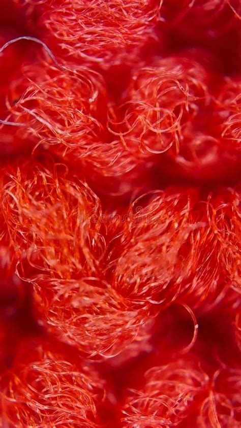 Cotton Details A Macro Video Of Textiles Under The Microscope Stock Video Video Of Formed