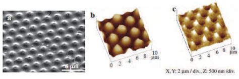 Figure 2 From Nanomicro Patterning Of Semiconductors By Site Selective
