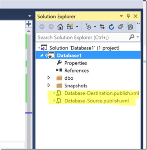 An Overview Of SSDT Developer Support