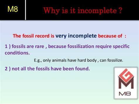 Fossil Record Paleontology Geo Science