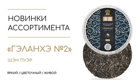 Купите чай Пуэр в интернет магазине «Институт Чая Пуэр» в Москве