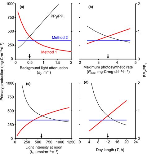 Effects Of Light‐associated Parameters On Areal Primary Production