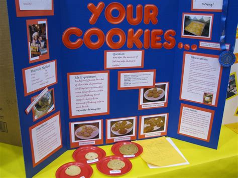 Good Science Fair Projects With Variables