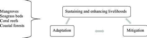 Nature Based Adaptation For Sustainable Coastal Development Download Scientific Diagram