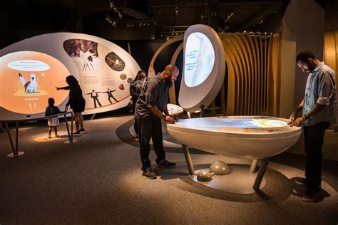 Museum Visitors Learn About Life Science With Ideum Exhibits Science