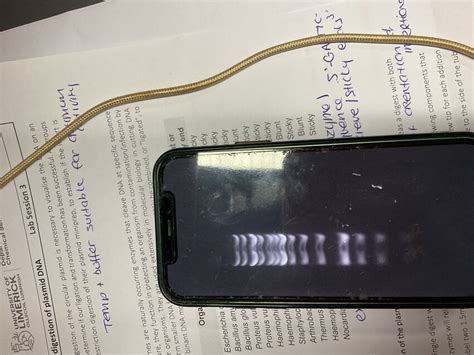 Questions With Answers In GENETIC ENGINEERING Scientific Method