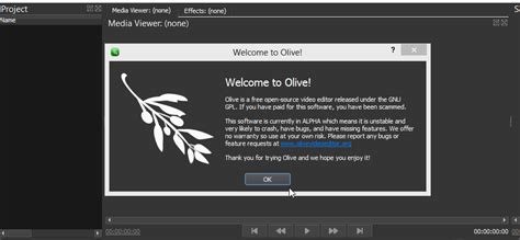 Crash When Opening Clip In Source Player Issue Olive Editor Olive GitHub