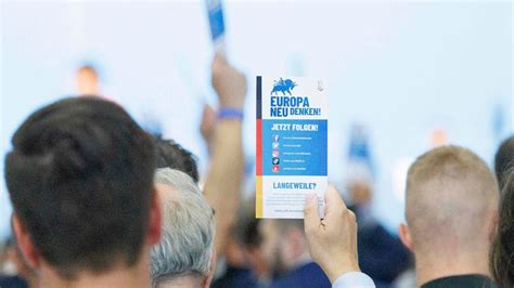 Afd Wahlprogramm Eu Ist Ein Gescheitertes Projekt Ndrde Nachrichten Ndr Info