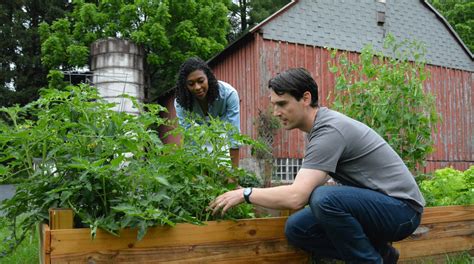 How To Open A Nonprofit Fund Delaware Community Foundation Dcf