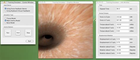 The Graphical User Interface Download Scientific Diagram