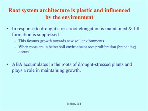 PPT Regulation Of Root System Architecture PowerPoint Presentation Free Download ID 3804648