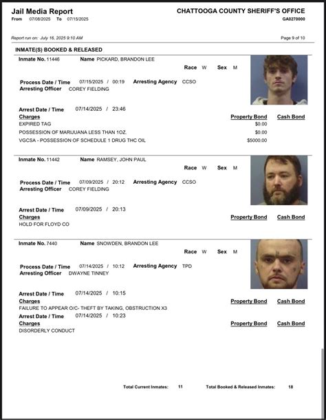 All On Georgia Chattooga All On Georgia Chattooga