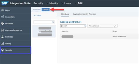 Sap Cpi Working With Api Management Create Api Provider With Open