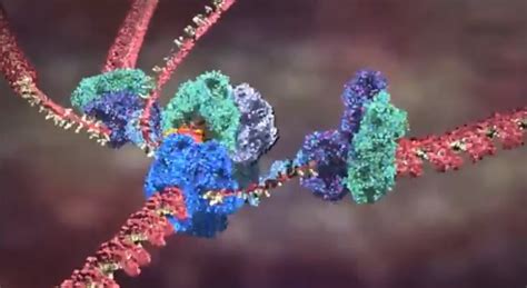 Explosive Implosion Polysingularity