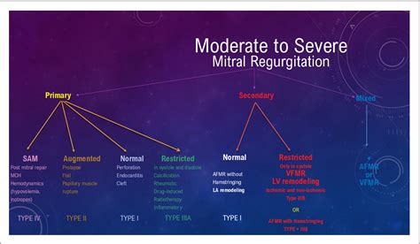 Figure 1 From Atrial Functional Mitral Regurgitation Semantic Scholar