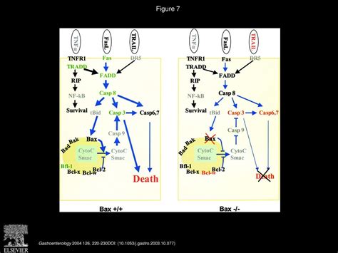 Volume Issue Pages January Ppt Download