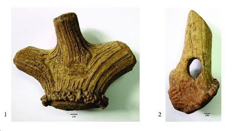 Red Deer Antler Segment With Traces Of Cutting And Perforating 1 And