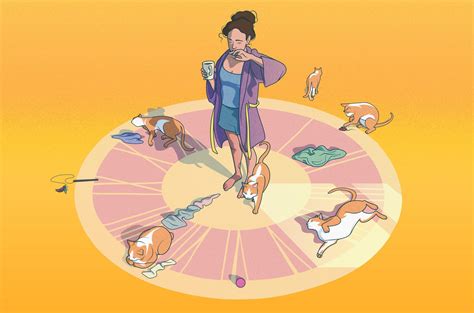 The Polyphasic Sleep Dilemma Sleep Cycle Sleep Cycle Sleep