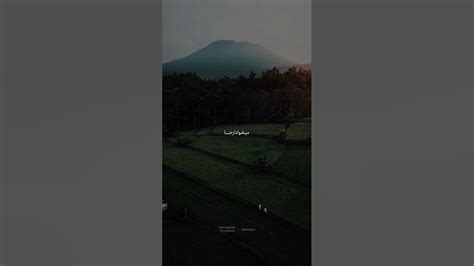 سنگ فرش خیابونارو گل کردم برات Youtube