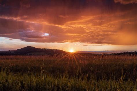 Gorgeous Red Sunset Over The Field Lush Green Great For Backdrop Stock Photo Image Of Trees
