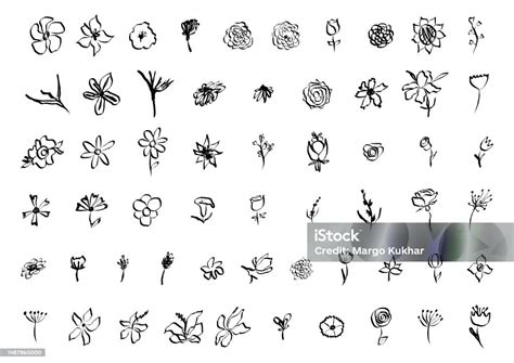 스케치 드로잉 꽃 컬렉션입니다 큰 세트 예술적 잉크 브러시는 작은 꽃을 그렸습니다 장미 카모마일 수선화 백합 및 기타 다른 야생 이국적인 식물 들판 초원 열대 벡터 그림 0