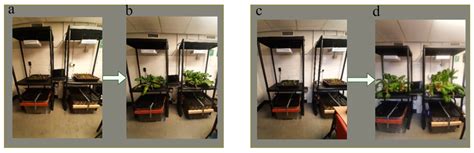 Making Aquaponics More Sustainable Using Worms And Water Replenishment Combined With A Sensing