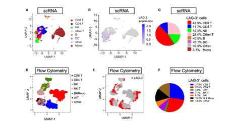 Distribution Of Lag 3 Expression By Lineages Of Pbmcs Isolated From Hcc Download Scientific