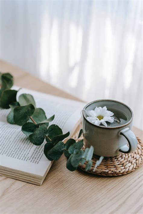 Clever Women | Clever Clover