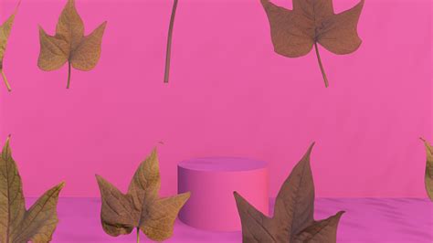 브랜딩 및 포장 프리젠 테이션에 대한 최소한의 배경핑크 코랄 연단 잎 비행 산호 배경 3d 렌더링 그림 0명에 대한 스톡 사진 및 기타 이미지 Istock