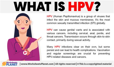 What Is Hpv Definition Of Hpv