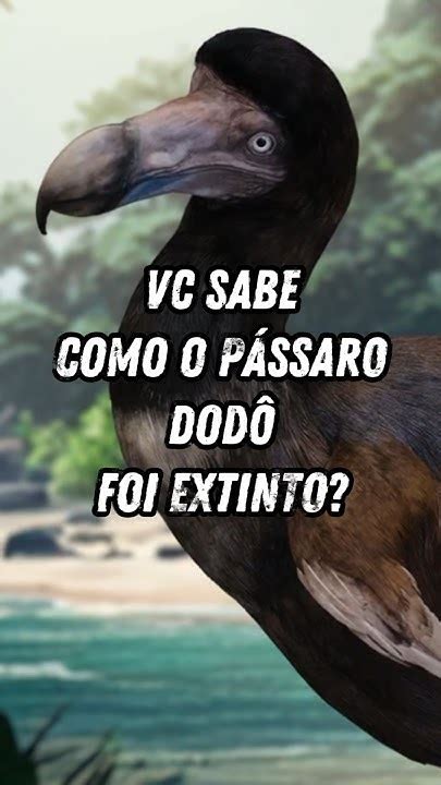 Como Foi Extinto O Pássaro Dodô Shorts Youtube