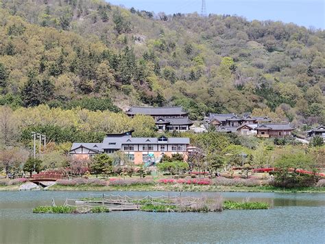 시 감상 나를 멈추게 하는 것들