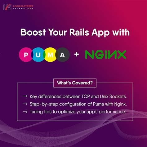 Rubyonrails Pumaserver Nginx Webappperformance Developertools