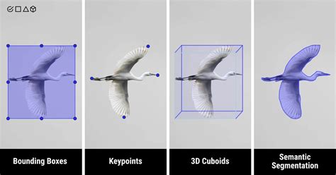 image annotation tool guide and review of top free tools label your data