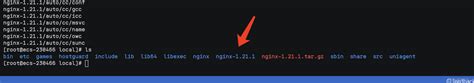 安装 nginx 静态资源服务器 安装静态文件服务器 csdn博客