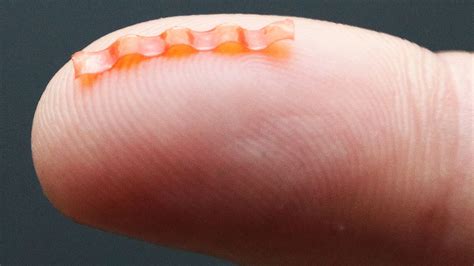 Light Driven Soft Robot Mimics Caterpillar Locomotion In Natural Scale Youtube